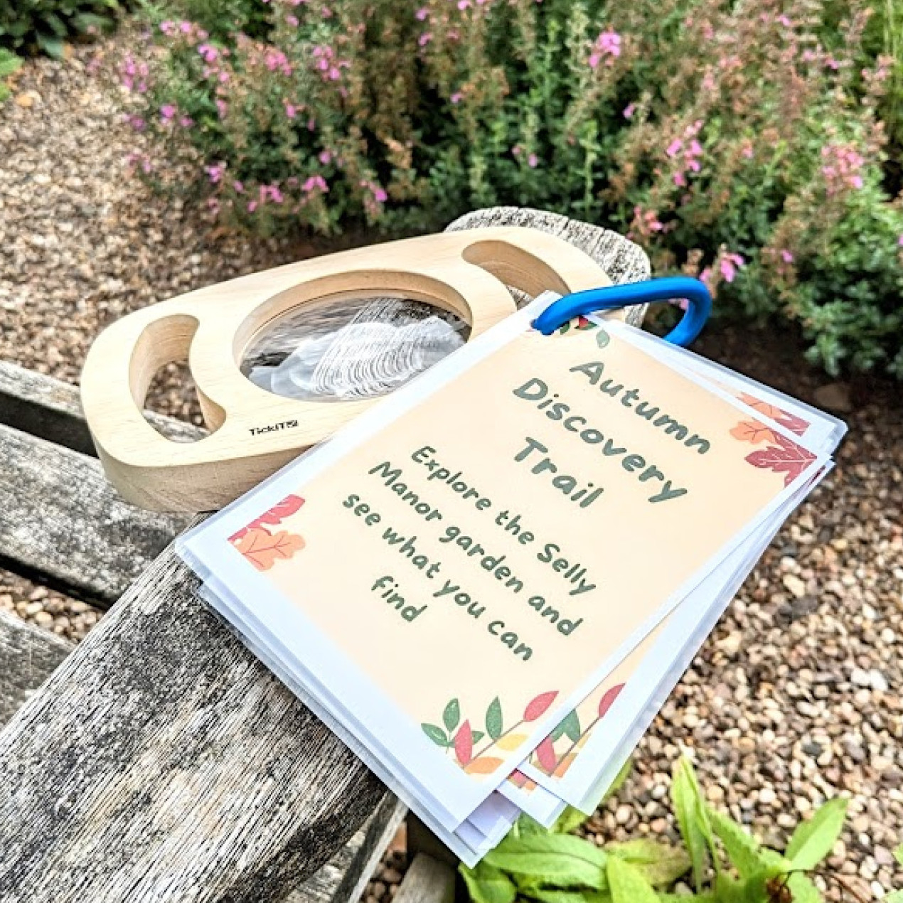 Selly Manor | Top things to do